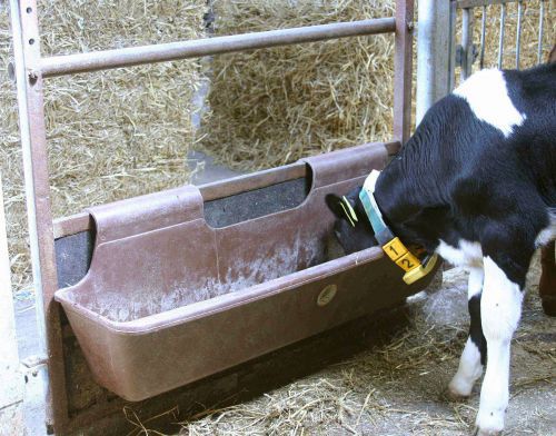 Trog für Rinder - 1100 - OK PLAST - für Schafe / für Ziegen / für Pferde