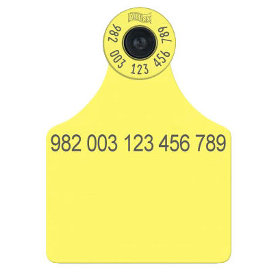 Ohrmarke für Rinder - All-in-One - Allflex USA, Inc. - elektronisch