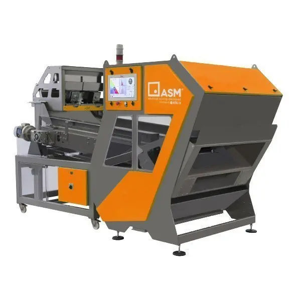 Optischer Sortierer - TIGER BELT - Elica ASM Srl - automatisch