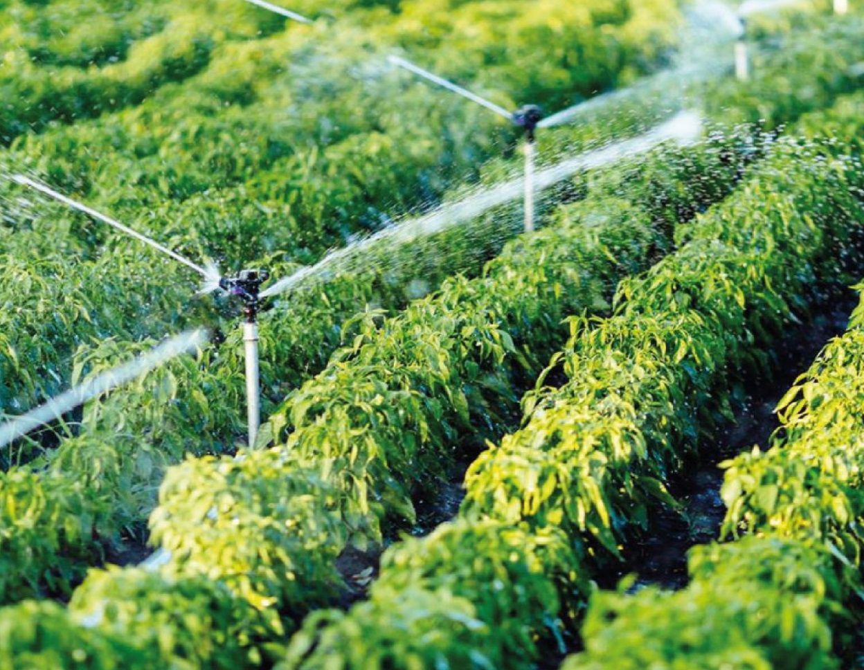 Drehbarer Beregner - ARDENT PLASTIK SAN.VE TIC.LTD.STI