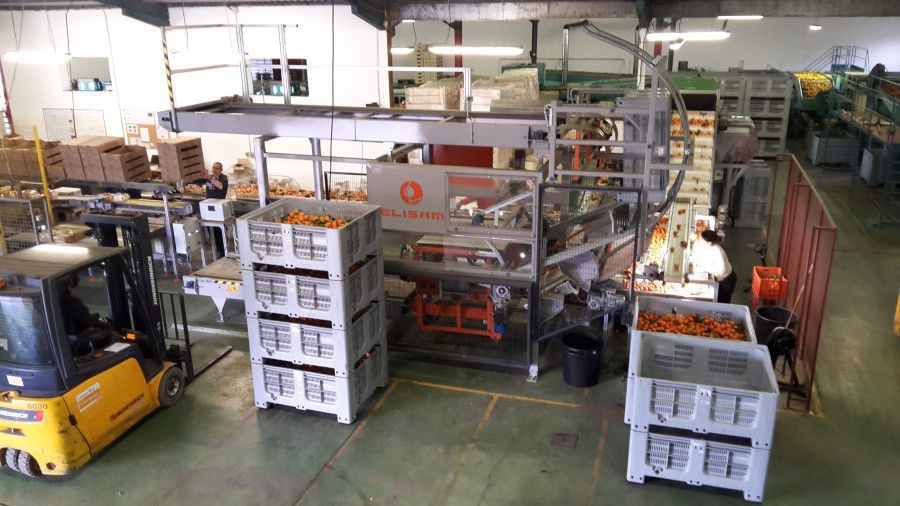 Kistenkipper - Elisam s.r.l.