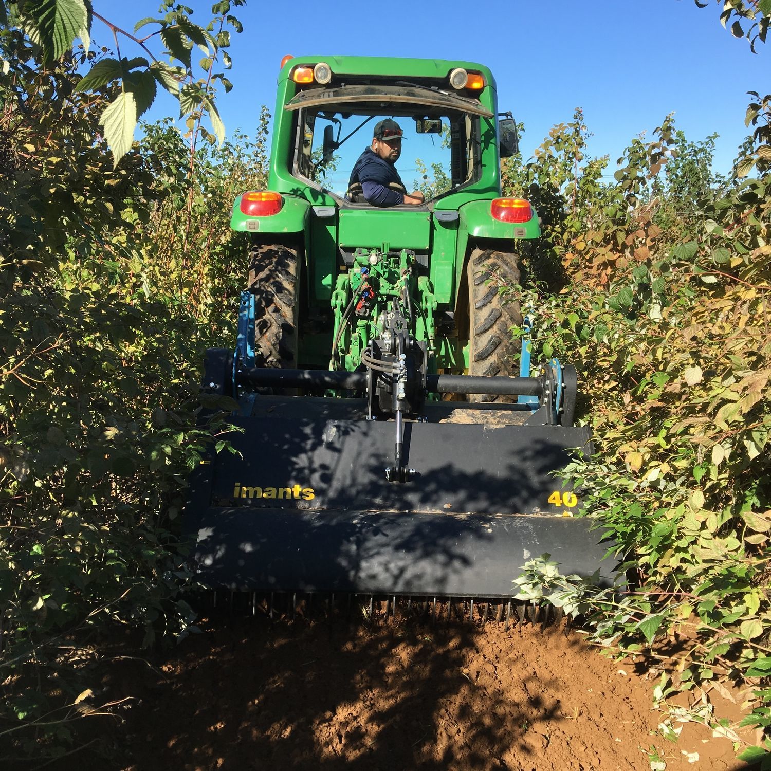 Azadonadora de toma de fuerza - 40 series - IMANTS B.V. - para viña / montada en tractor / rígida