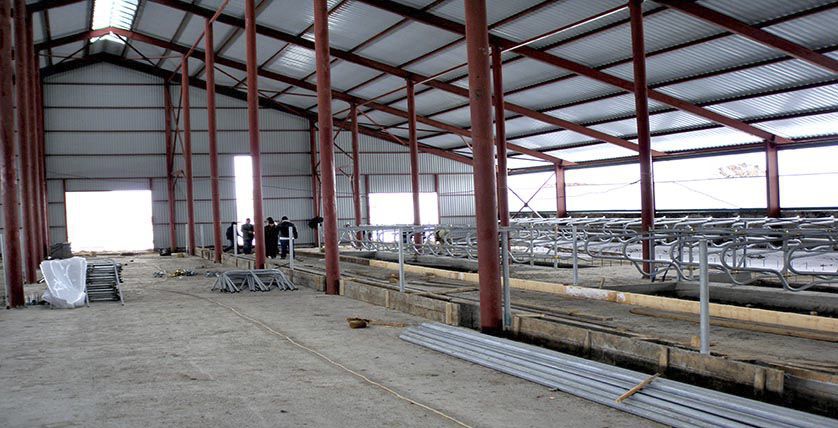 Establo para bovinos - Bratslav A.L.C.