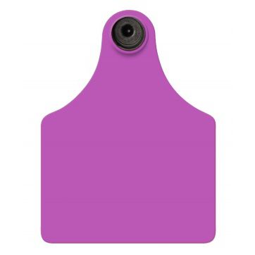 Crotal para oreja para bovinos - TAMPERPROOF™ MAXI FEMALE - Allflex USA ...