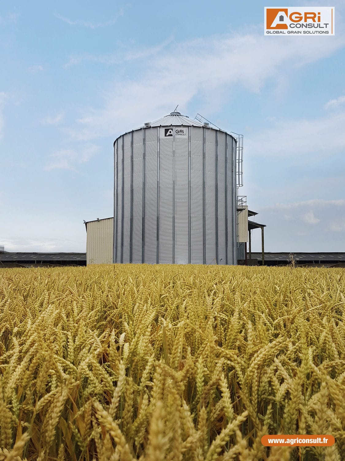 Silo para cereales - AGRICONSULT - para trigo / de acero / de acero ...