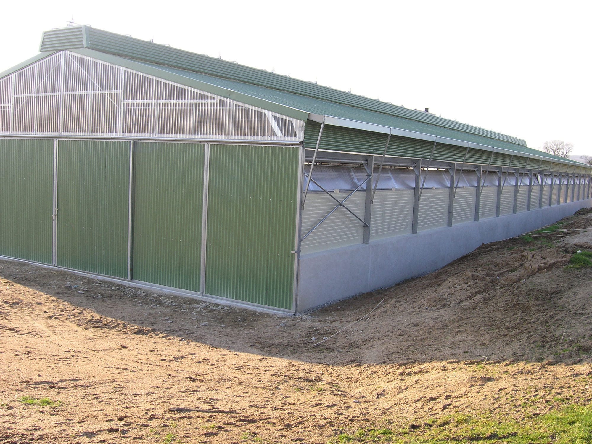 Estabulación para bovinos - Barre - para óvidos / para ganado caprino