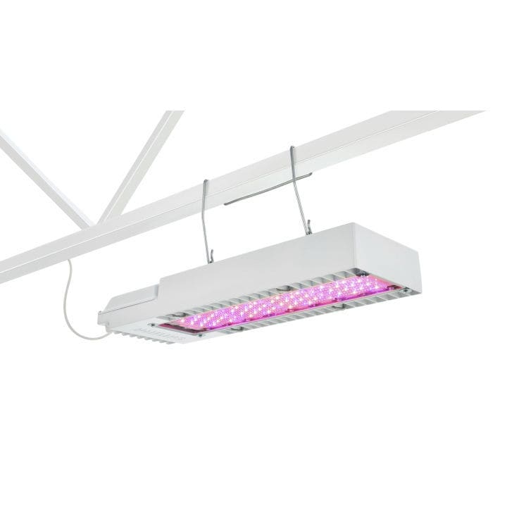 Iluminación para la horticultura - GreenPower Compact - Philips ...