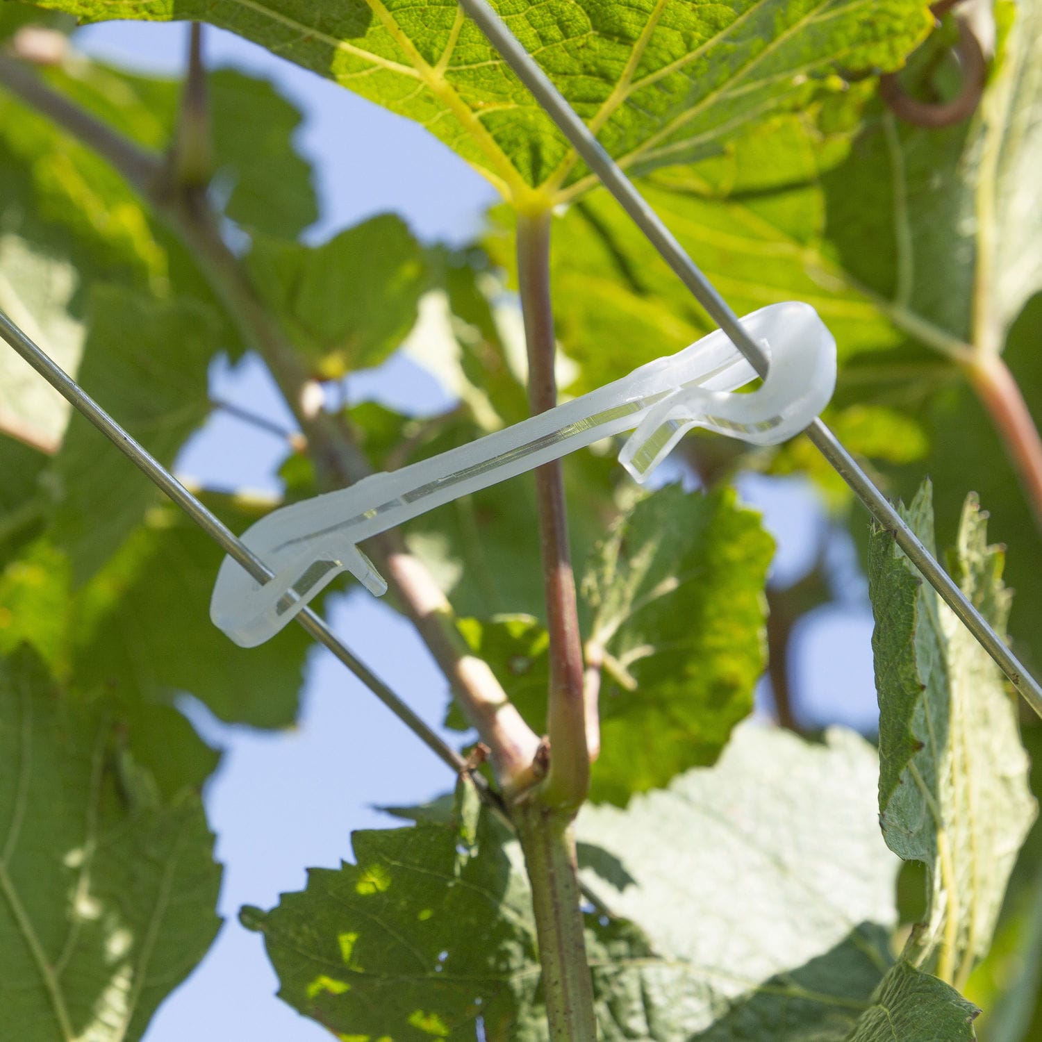 Grapón de plástico - SGR062N - LaCruz S.r.l. - para viñedos