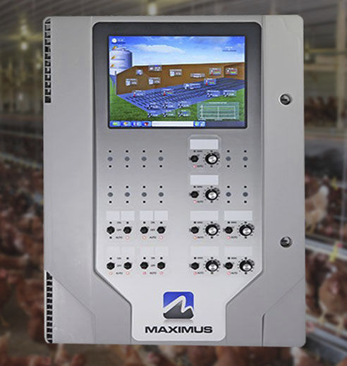 Software de gestión - MAXIMUS - kaiser poultry - agrícola