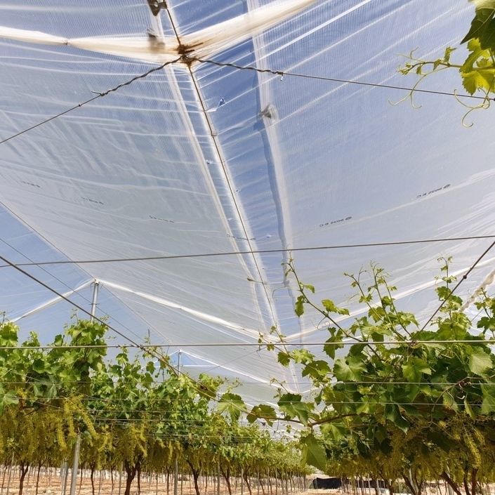 Funda protectora térmico - SOLFRUT - Solplast S.A. - reciclable