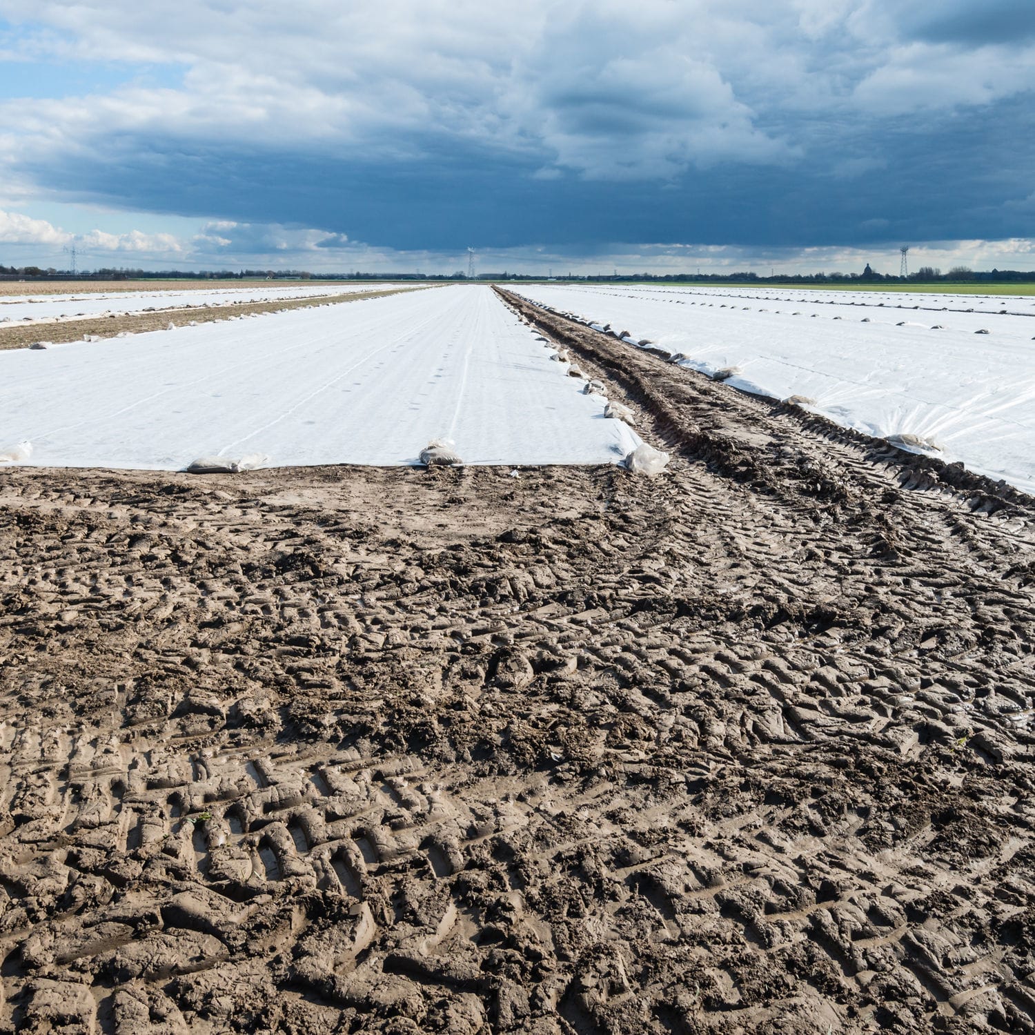 Film para cubrimiento del suelo - Hyma Plastic - de plástico / anti-UV ...