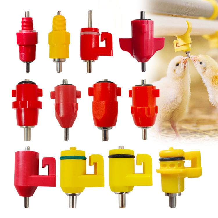 Chupete de abrevado para aves de corral - Cangzhou Phoenix Breeding ...