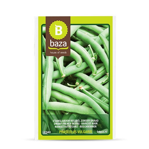 Semilla de haba - 7340 - BAZA Seeds Holland b.v.