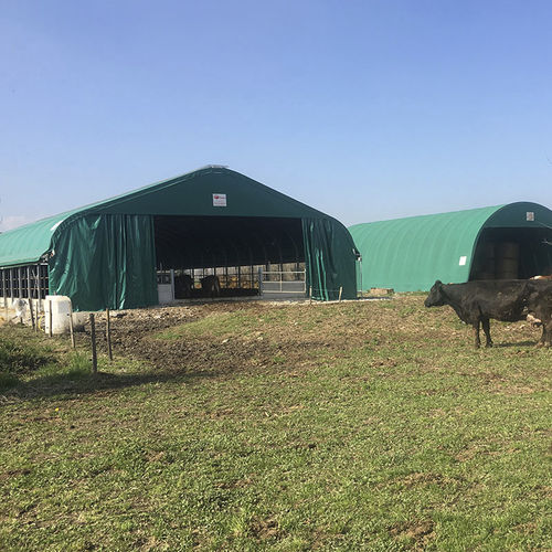 Establo para terneros - DUE A s.r.l. - ganado bovino lechero