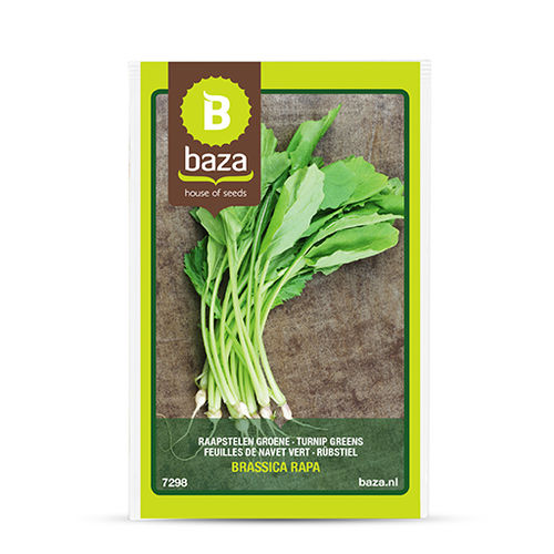 Semilla de nabo precoz - 7298 - BAZA Seeds Holland b.v. - de otoño