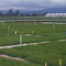 Bandeja alveolada de EPS - Styroblock - Beaver Plastics Ltd ...
