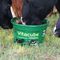 Cubo de sal para vacas - Vitacube® - farmann - para ganado caprino ...