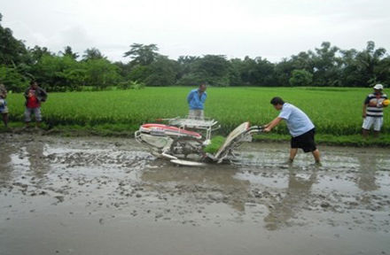 Repiqueuse de riz - 2ZF-4 - Zoomlion Heavy Machinery Co., Ltd ...