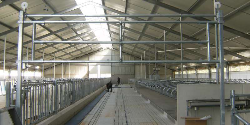 Barrière d'élevage - Beerepoot GmbH - pour stabulation / pour vaches ...