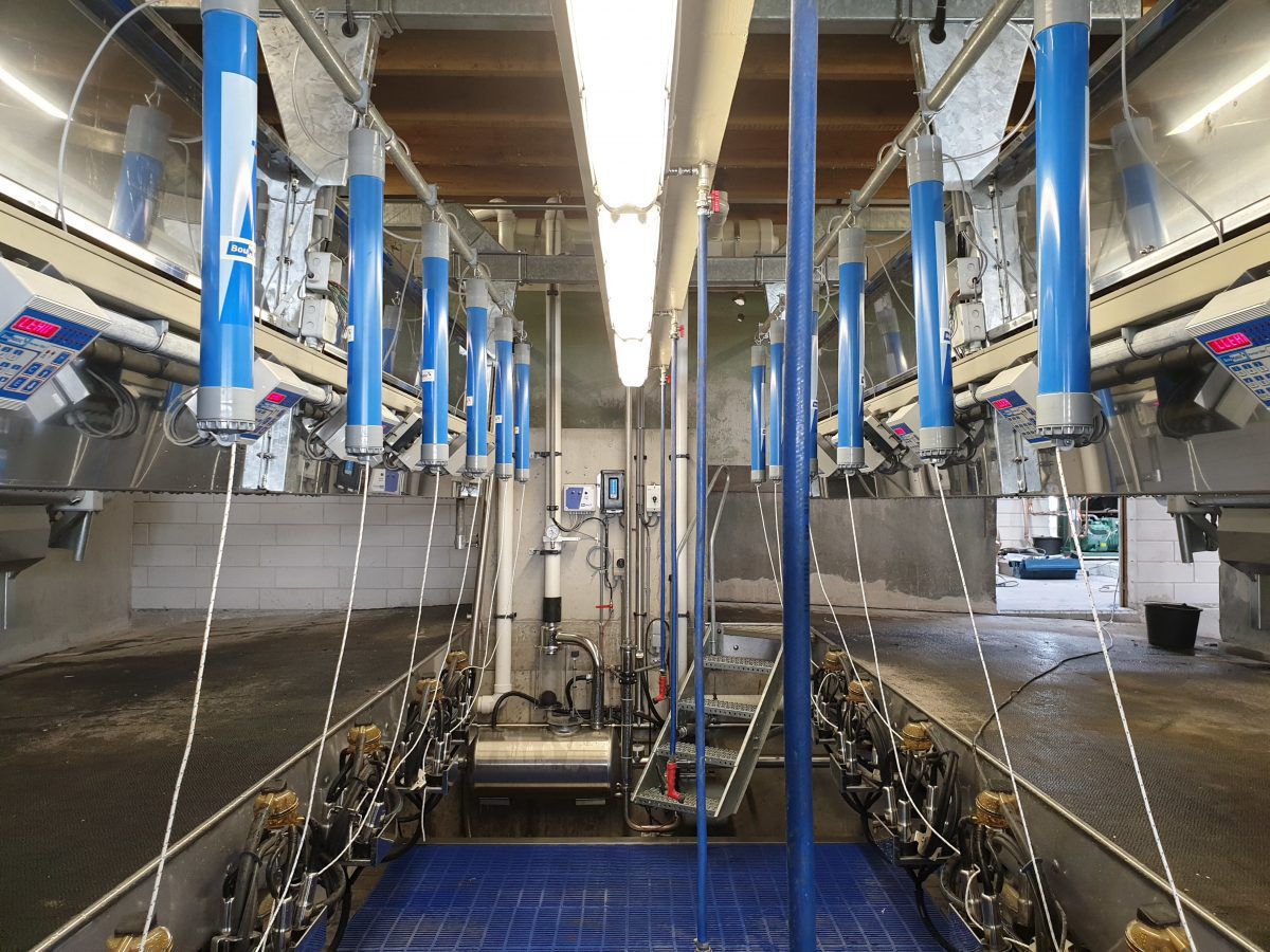 Salle de traite pour vaches - STREAMWAY 90 - BouMatic - parallèle