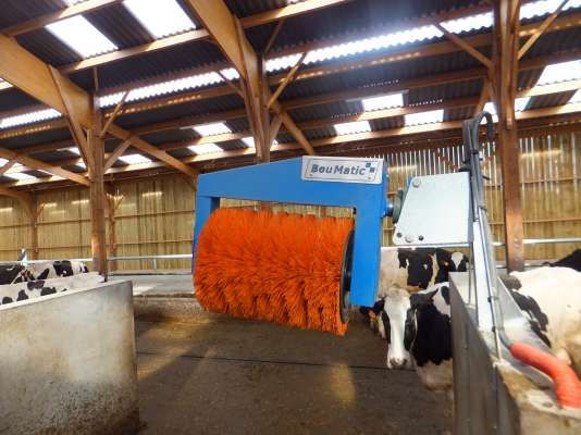 Brosse d'élevage - BouMatic - tournante / pour vaches