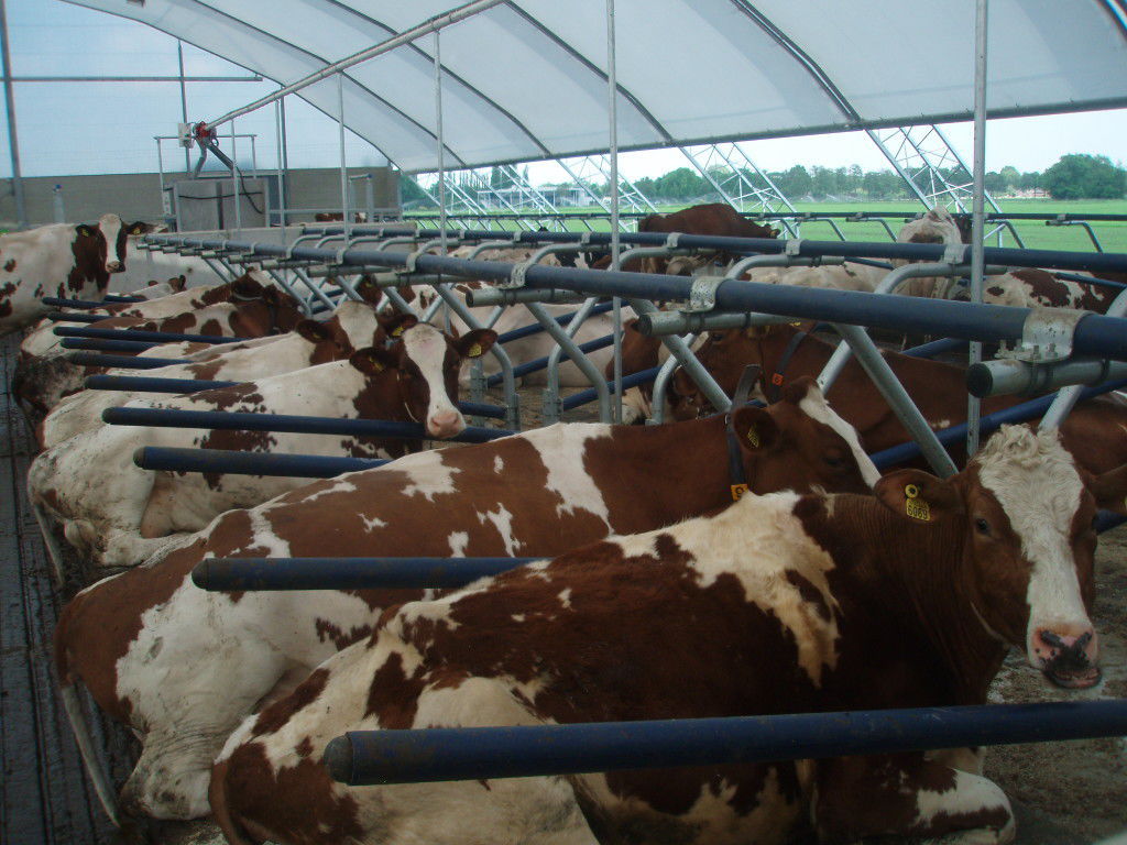 Logette - Release® - AGRIPROM Stalmatten BV