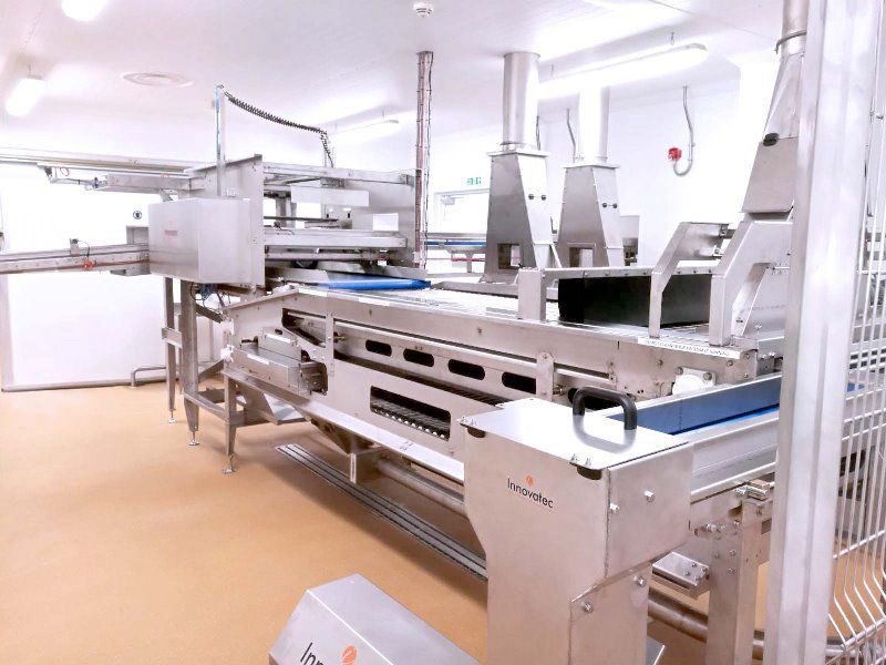 Convoyeur Pour Poussins Innovatec Hatchery Automation à Bande à