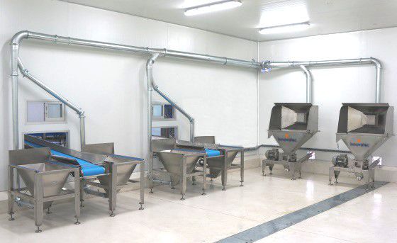 Convoyeur Pour Poussins Innovatec Hatchery Automation à Bande