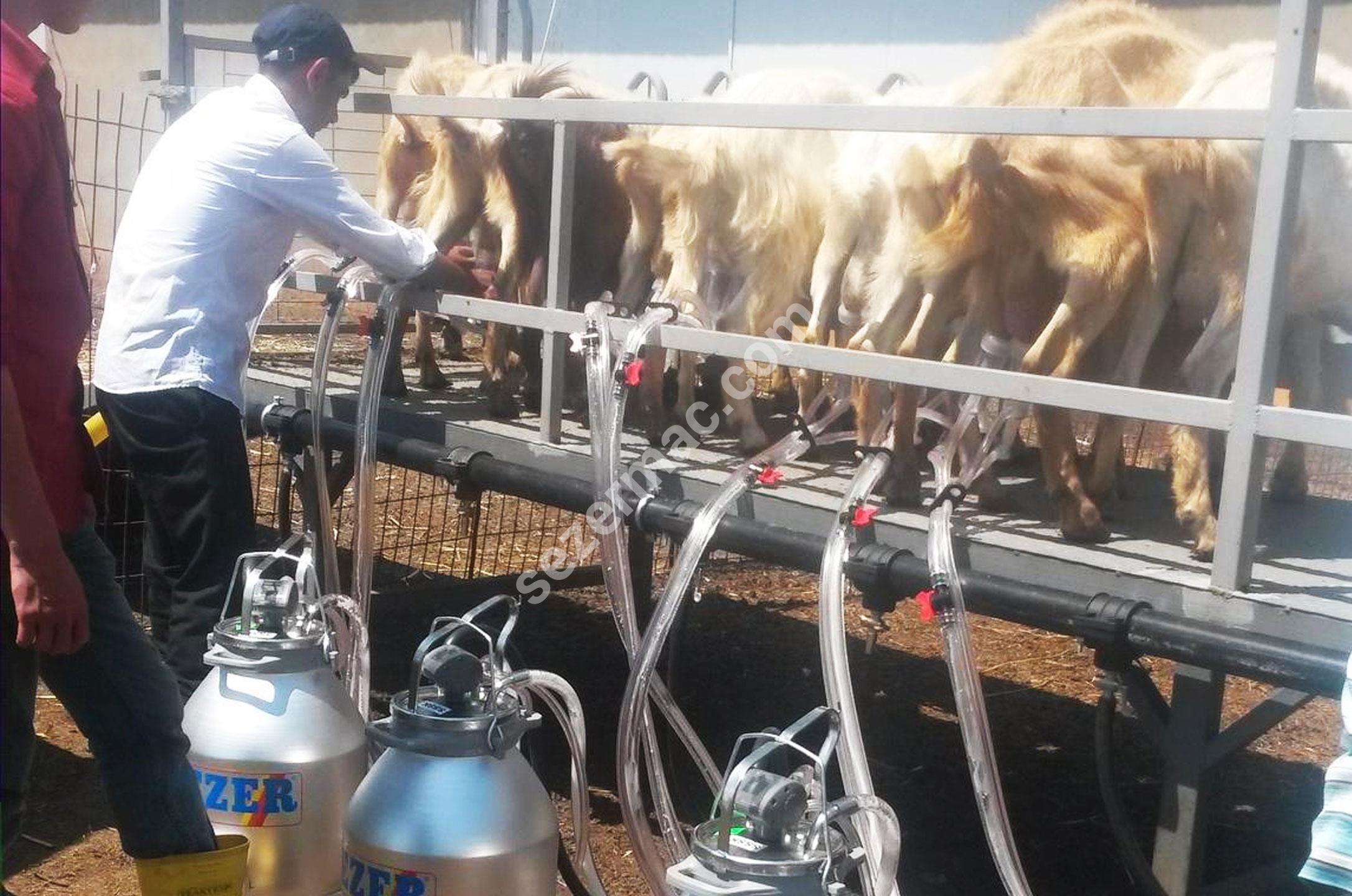Machine à traire pour chèvres - SEZER TARIM ve Sagim Teknolojileri San ...