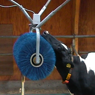 Brosse d'élevage - VINK ELST B.V. - pour vaches
