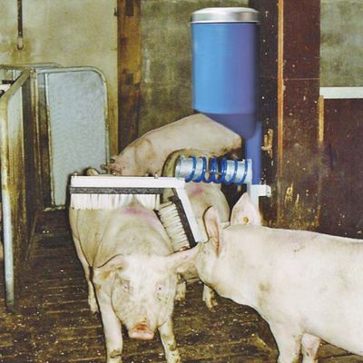Brosse d'élevage - VINK ELST B.V. - pour cochon / horizontale / à ressort