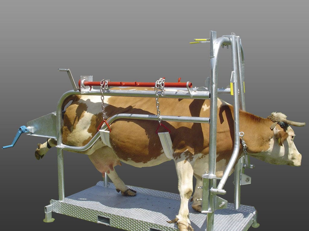 Cage de traitement pour vaches - KPB - Zaklady Metalowe w Przysiekach ...