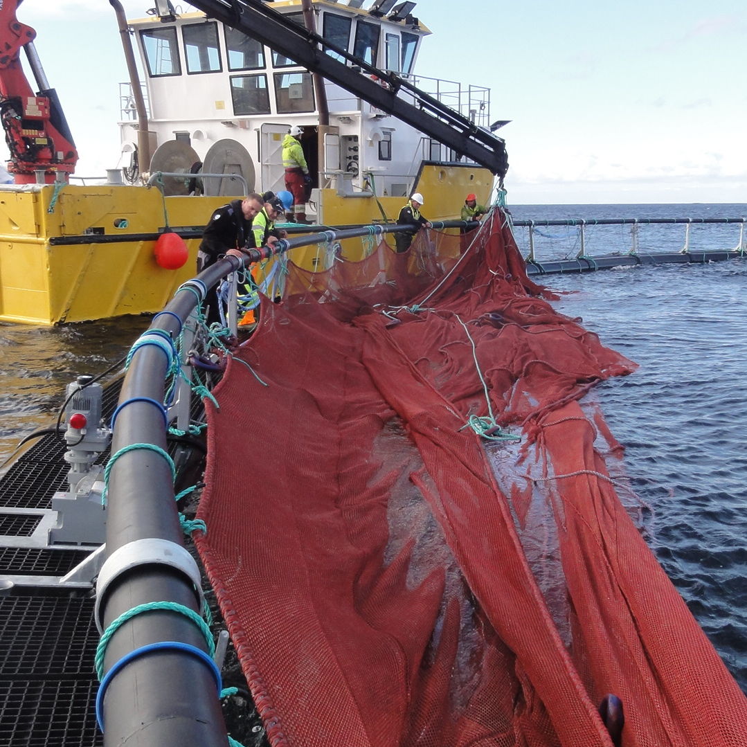 Filet d'aquaculture pour séparation de bassin - Steinsvik AS - en nylon