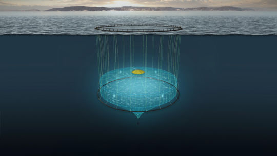 Filet d'aquaculture anti-prédateurs - Nautilus series - AKVA group ...