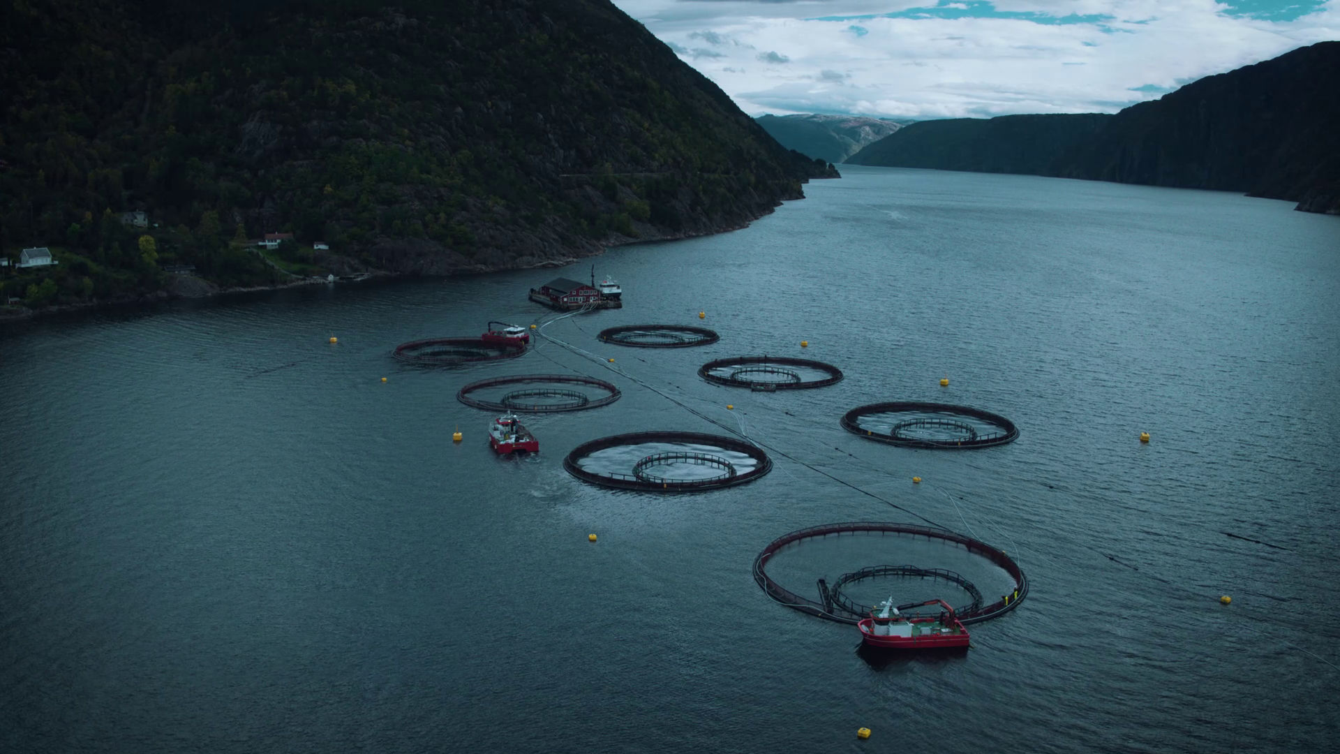 Filet d'aquaculture anti-prédateurs - Tubenet™ - AKVA group - pour ...