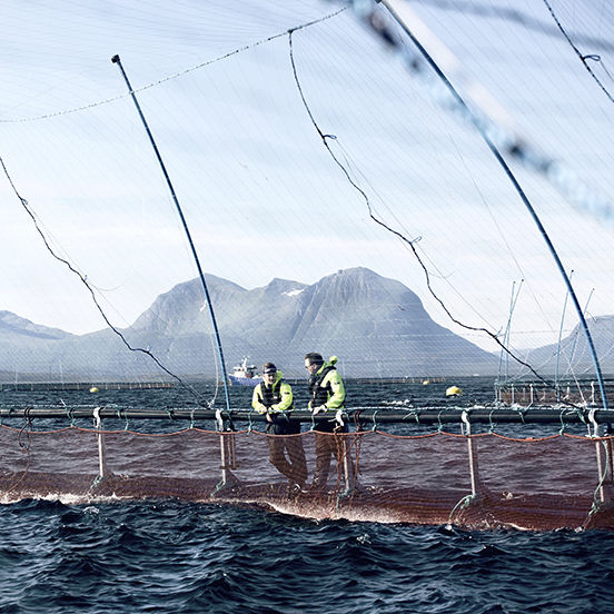 Filet d'aquaculture pour séparation de bassin - Aqualine - anti ...