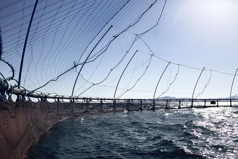 Filet d'aquaculture pour séparation de bassin - Aqualine - anti ...