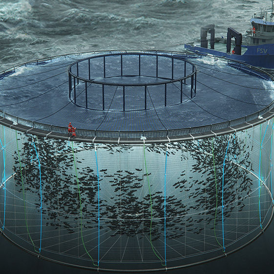 Filet d'aquaculture pour séparation de bassin - Aqualine Midgard ...