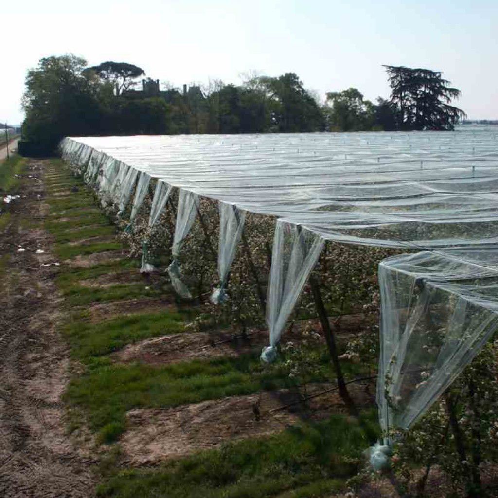 Filet anti-grêle - Emis France - pour culture