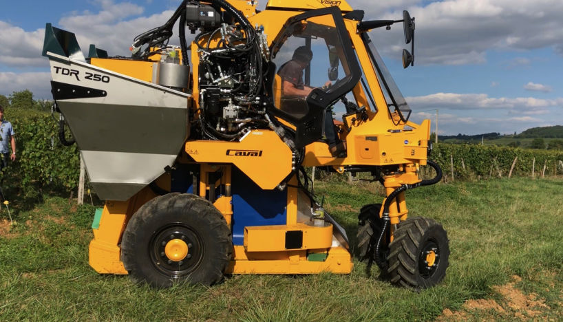 Machine à vendanger automotrice - TDR250 GRV - GRV