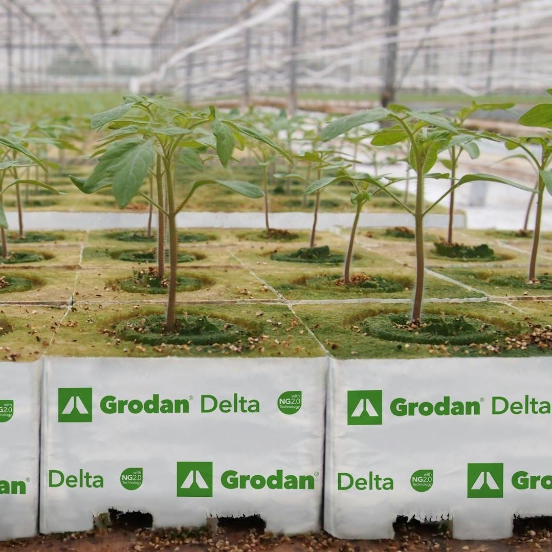 Substrat de culture laine minérale - Delta NG2.0 - GRODAN - motte ...