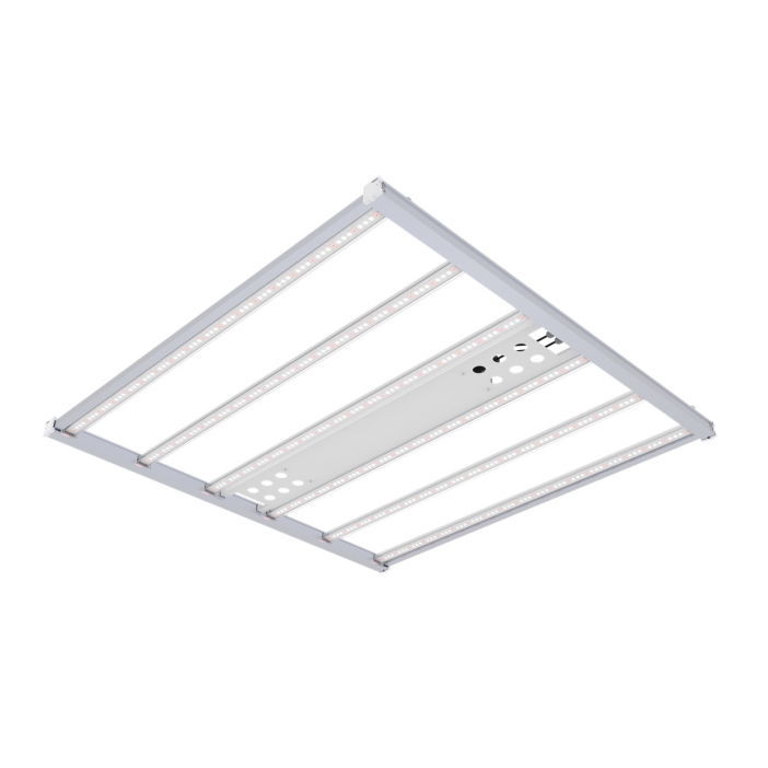 Éclairage pour l'horticulture - Philips Horticulture LED Solutions - à LED