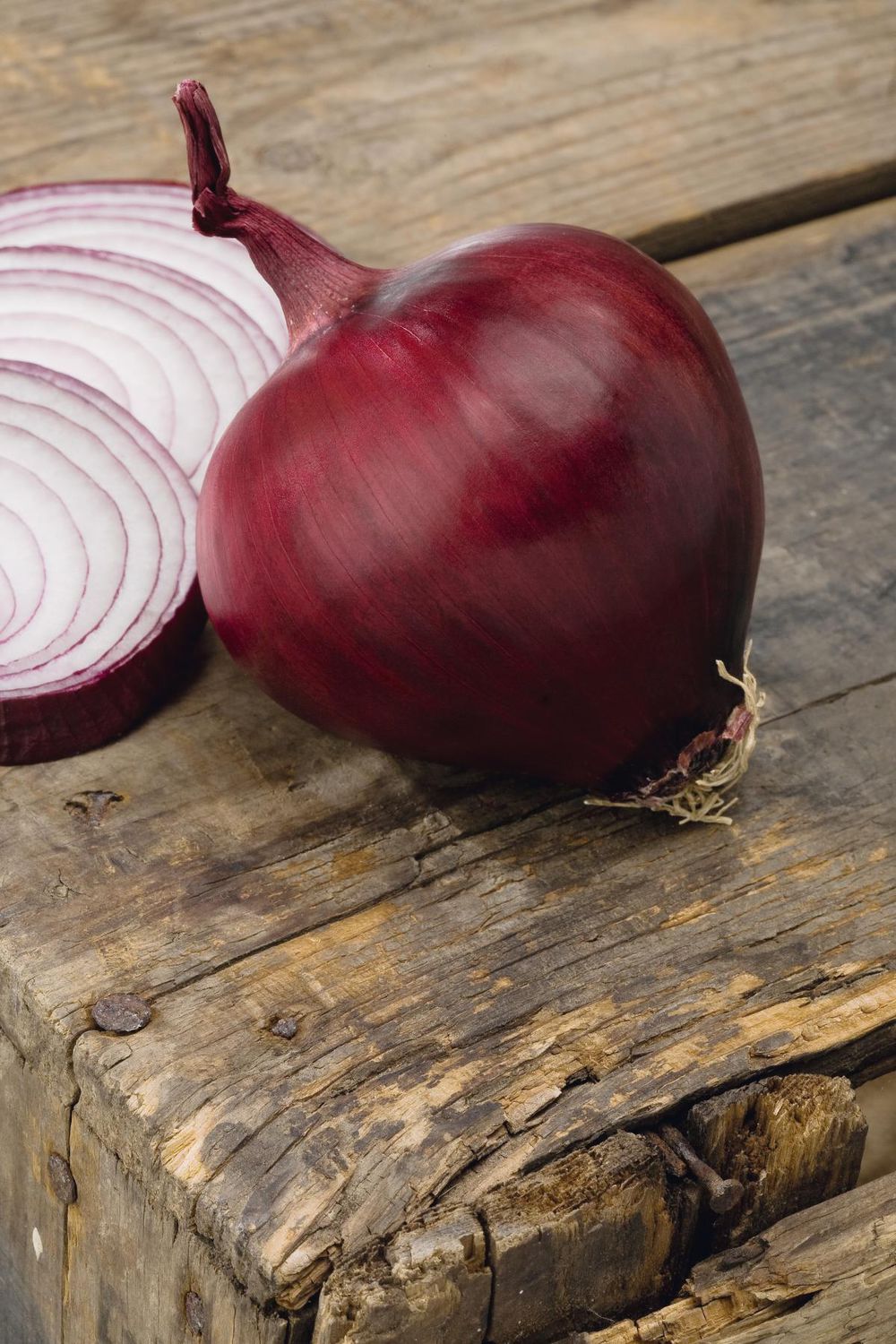 Semence d'oignon précoce - RED LABEL F1 - Bejo Zaden B.V. - hybride