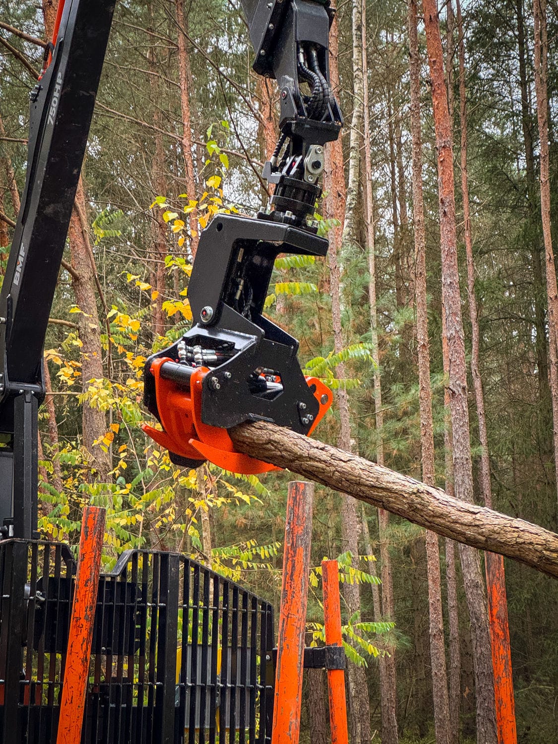 Grappin coupeur pour le bois - TSG20 - BMF
