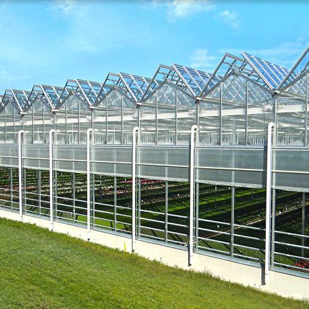 Serre de production - Sunmax Greenhouse Technology Co., Ltd ...