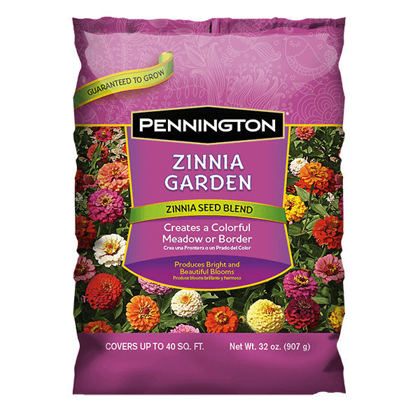 Semence de fleur annuelle - ZINNIA MIX - pennington - à mélange de ...