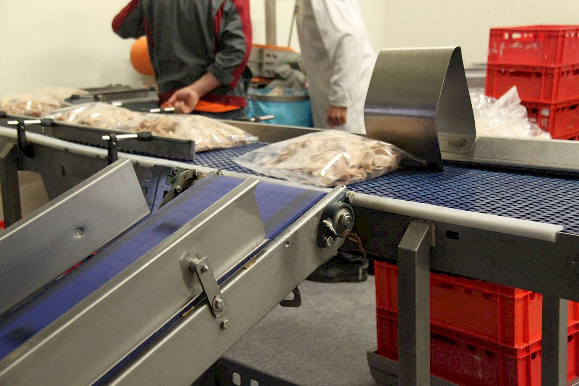 Machine d'emballage automatique - ARCO Solutions B.V. - avec convoyeur