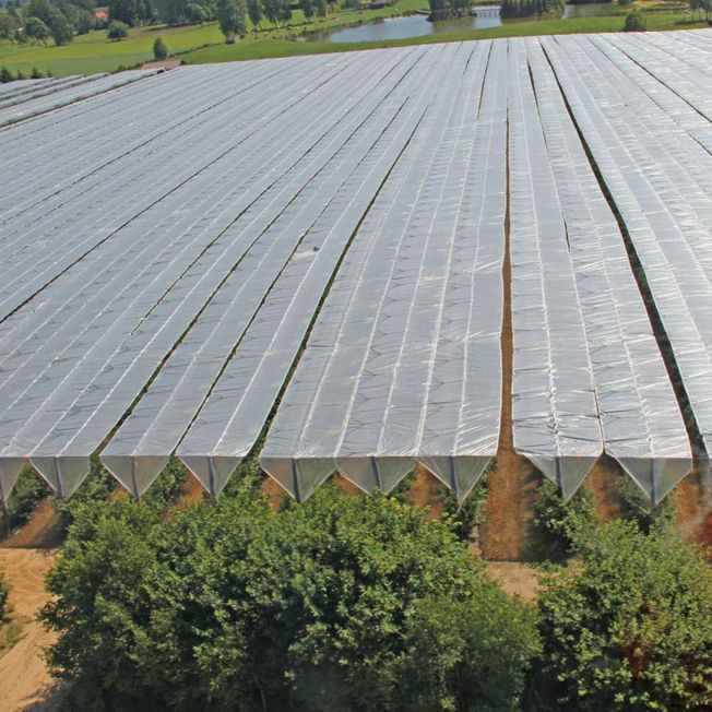 Filet de protection - Hyma Plastic - en plastique / pour arboriculture