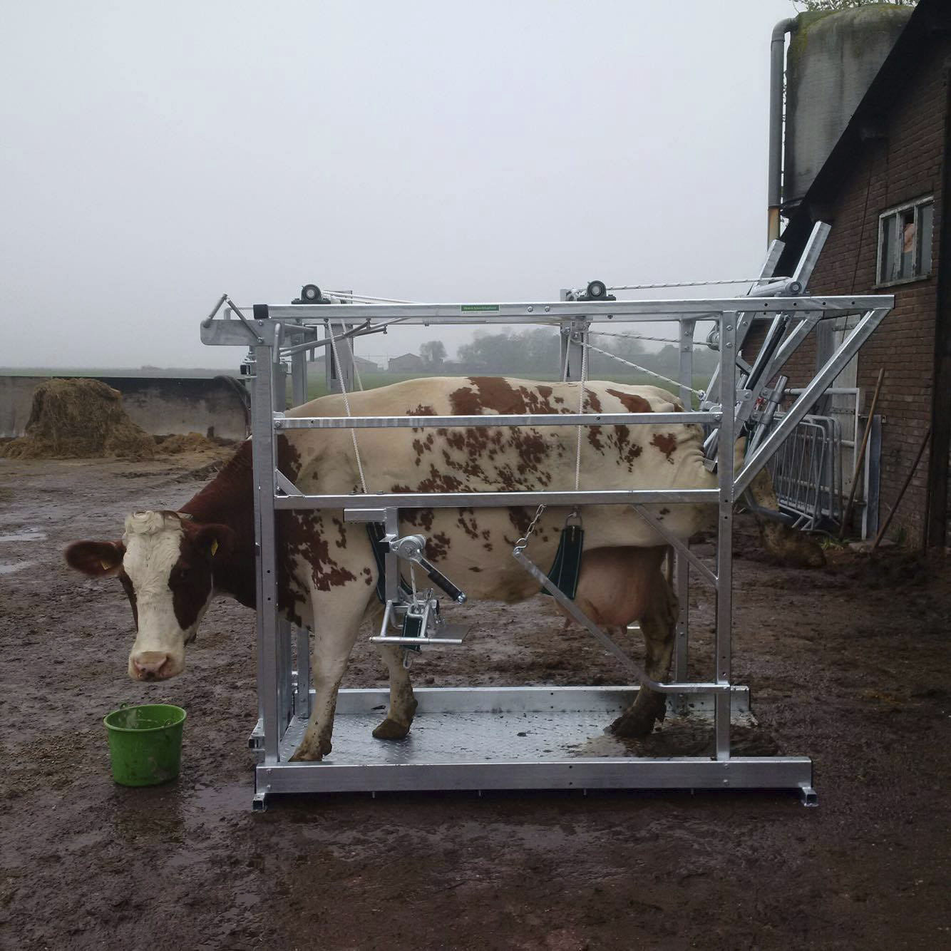 Cage de traitement pour vaches - MANUAL - Eko Hoofcare - pour le soin ...