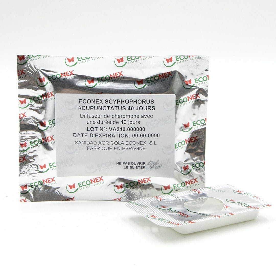 Capsule de phéromone contre les coléoptères - SCYPHOPHORUS ACUPUNCTATUS ...
